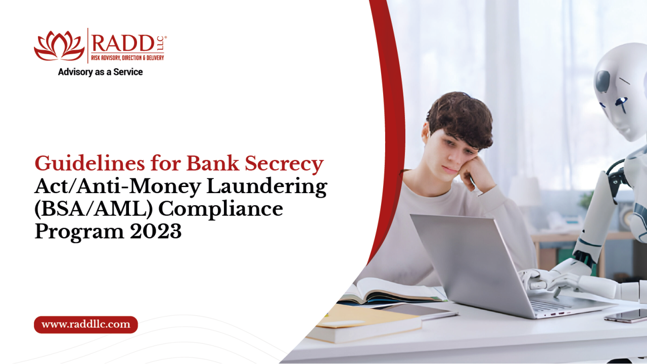 Guidelines for Bank SecrecY Act / Anti-Money Laundering (BSA/AML ...