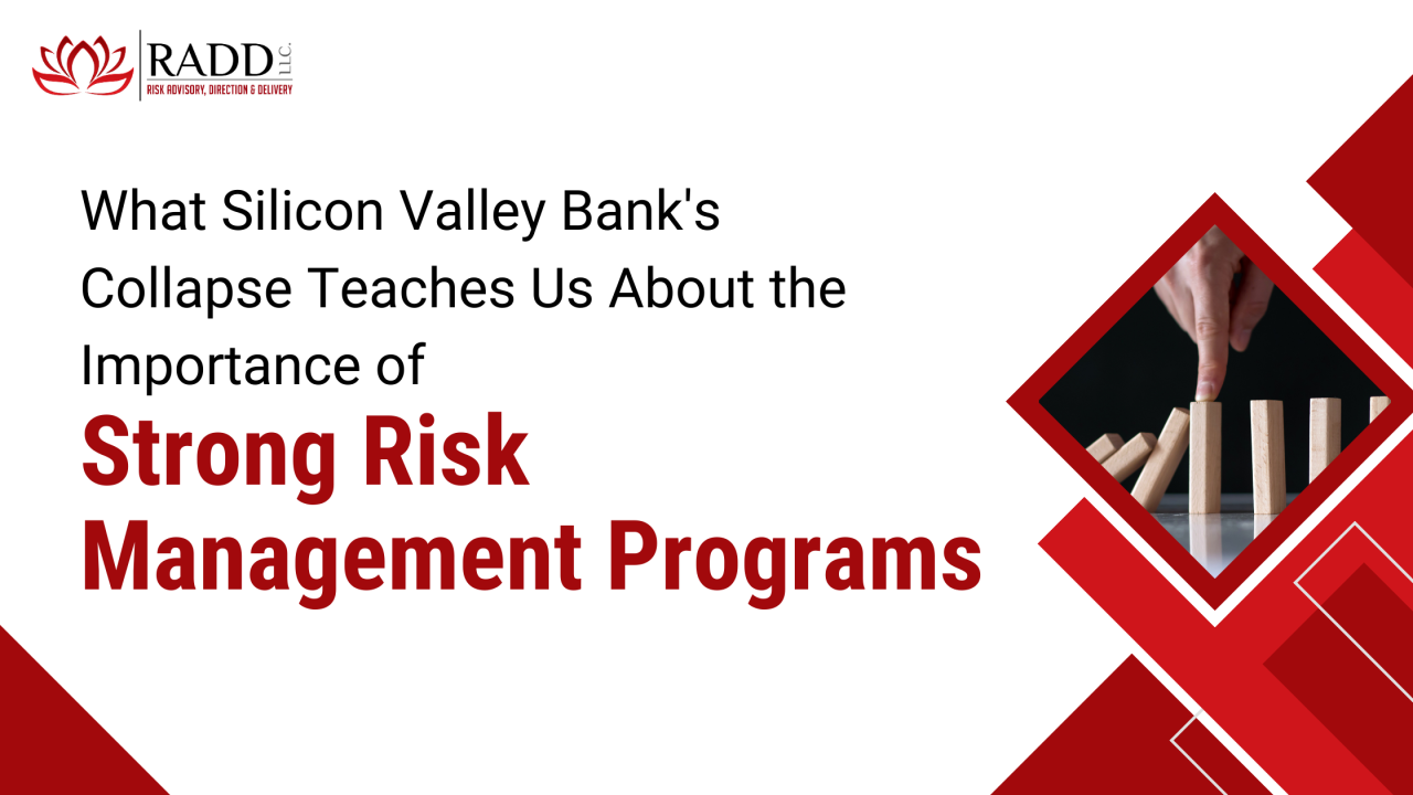 What Silicon Valley Bank's Collapse Teaches Us About the Importance of ...