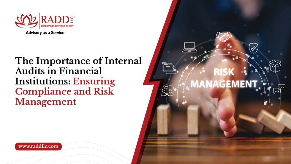 The Importance of Internal Audits in Financial Institutions: Ensuring ...